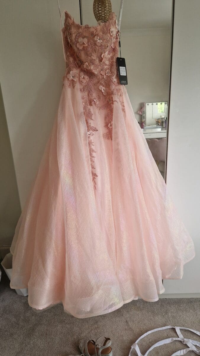 Gurbani Blush prom dress - Prom UK Reloved
